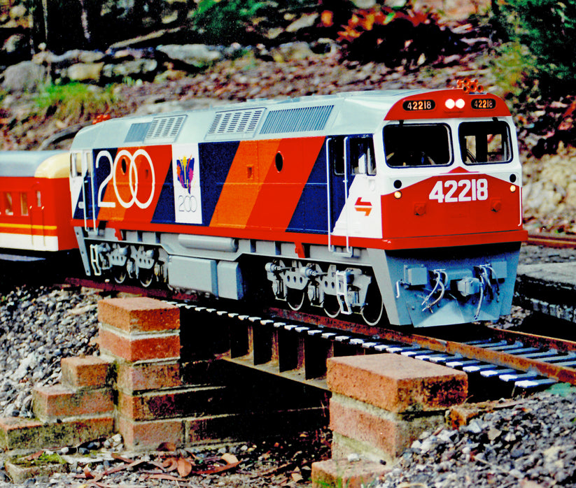 5" Gauge NSWGR 422 Class – E and J Winter - Bolton Scale Models